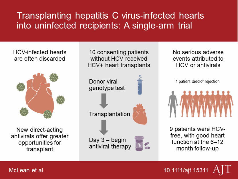 Hep C Hearts Offer Opportunity for More Transplants