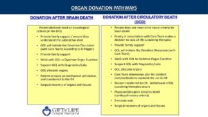 Organ Donation Pathways | Gift of Life Donor Program - Saving Lives ...